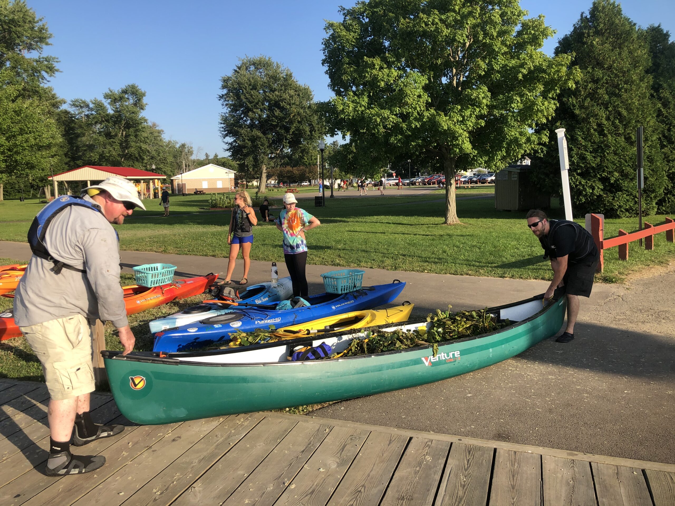 Different Invasive Species Require Different Approaches | News, Sports ...